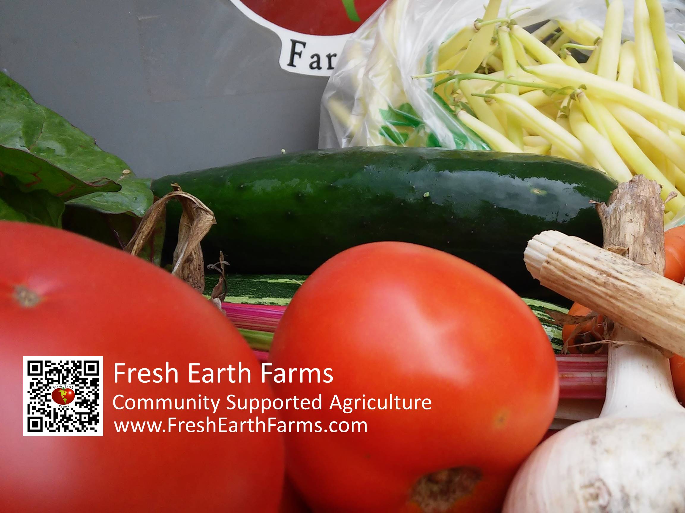 Smelly Cousins - Fresh Earth Farms - CSA
